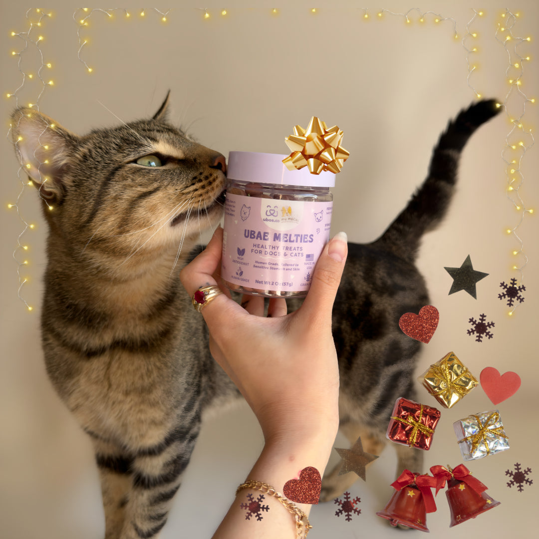 Ubae Melties for Cats and Dogs: The Tasty, Nutritious Treat for All Pe ...