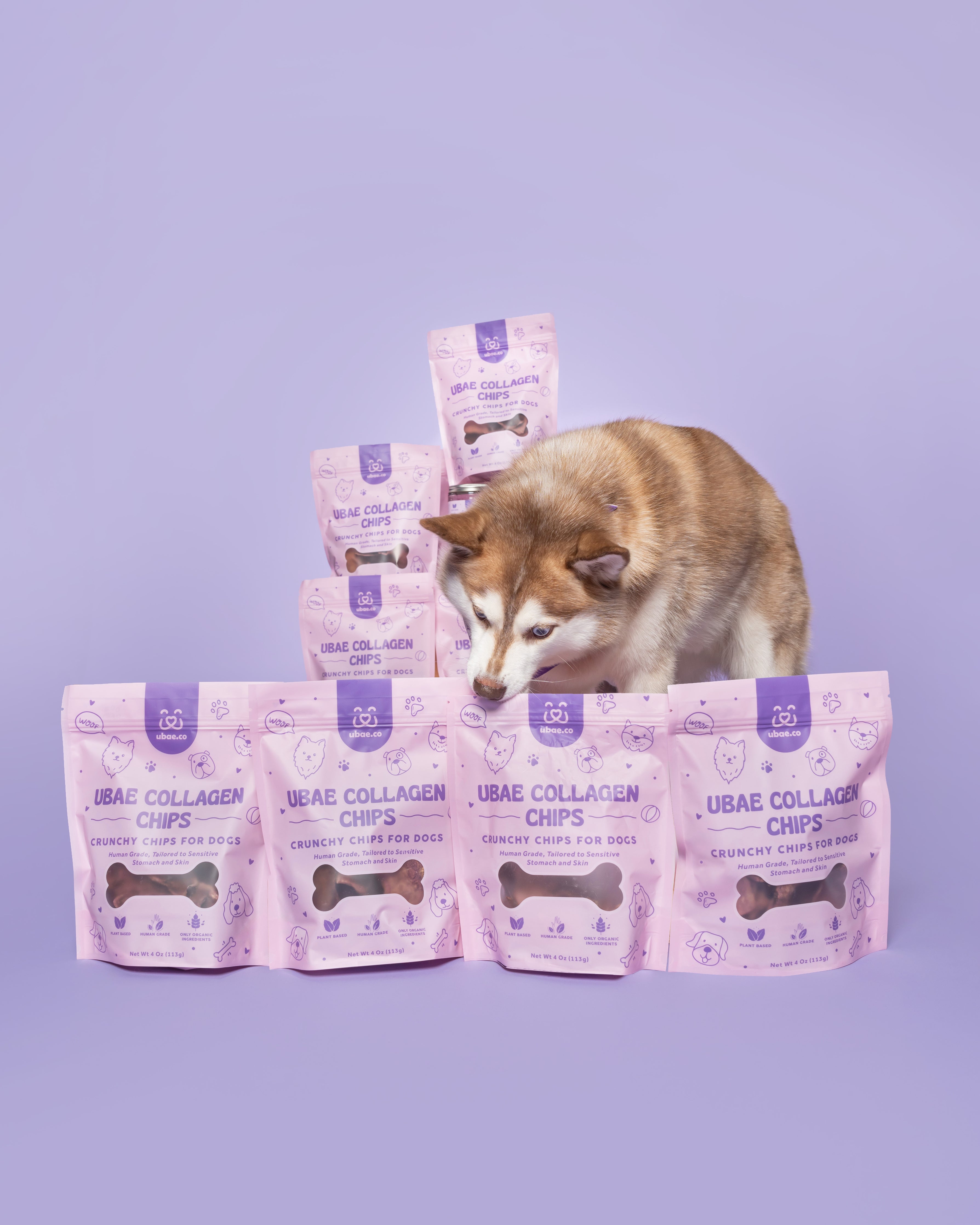 Creative Communal Ubae Holiday Gift Guide – UBAE