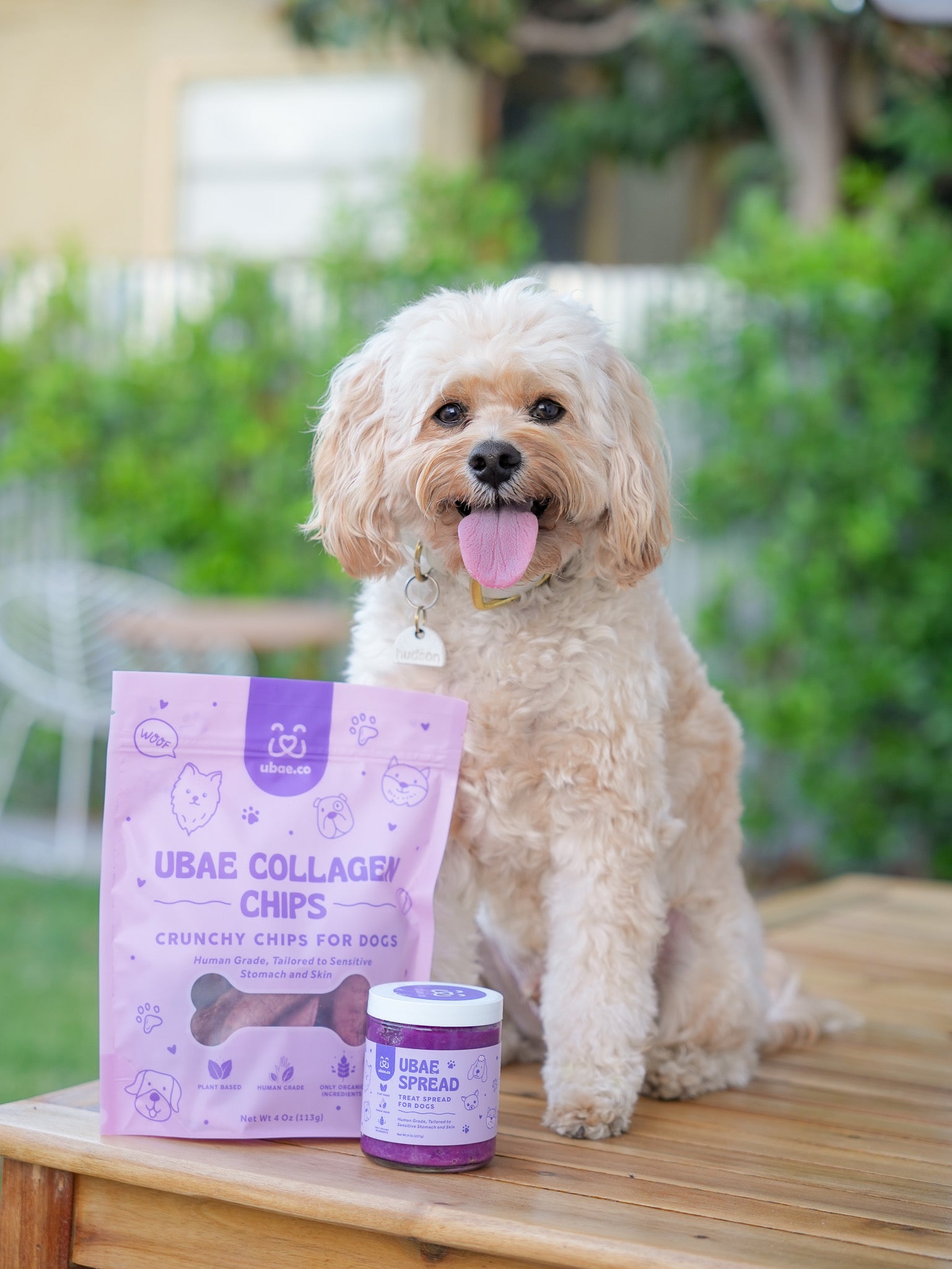 Recipe-Ubae – UBAE