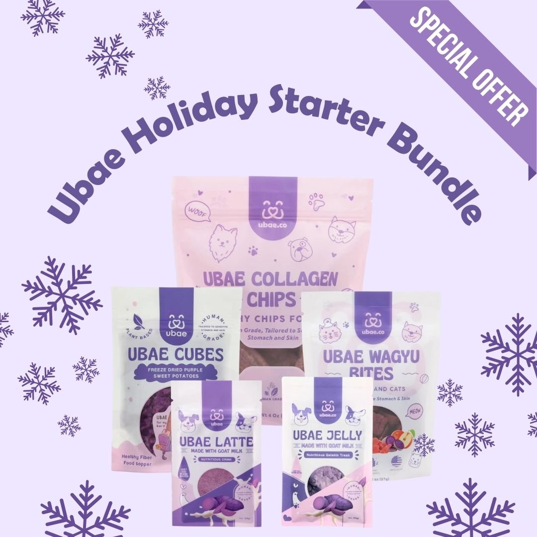 All things ubae bundle – UBAE