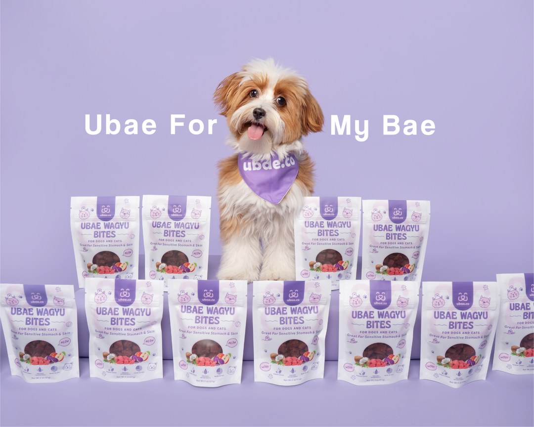 Ubae.co | Organic Pet Treats – UBAE